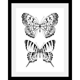 Bild queence "Schmetterlinge" Bilder Gr. B/H/T: 50 cm x 70 cm x 3 cm, schwarz Kunstdrucke