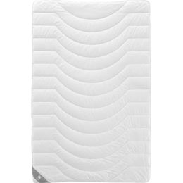 Kunstfaserbettdecke Musterring "Moonz" Bettdecken Gr. B/L: 155 cm x 220 cm, e x traleicht, weiß Steppbettdecke