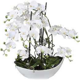 Kunstorchidee Creativ green "Phalaenopsisarrangement, 68cm weiss" Kunstpflanzen Gr. H: 68 cm, 1 St., weiß Kunst-Orchideen