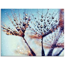 Glasbild Artland "Pusteblume Regen abstrakt" Bilder Gr. B/H: 80 cm x 60 cm, Glasbild Blumen Querformat, 1 St., blau Glasbilder