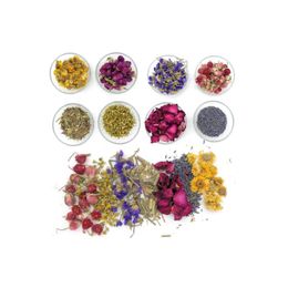 Trockenblume Getrocknetes Blüten Set mit 8 verschiedenen Blumen