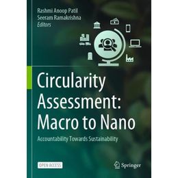 Springer Nature Circularity Assessment: Macro to Nano, Kartoniert (TB)