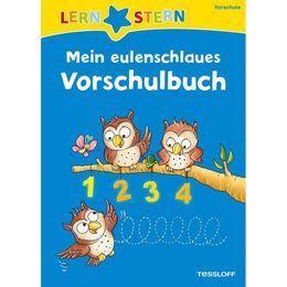 LERNSTERN Mein eulenschlaues Vorschulbuch - Julia Meyer, Kartoniert (TB)