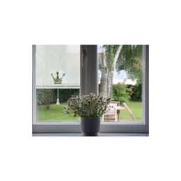 MICASIA - Fensterfolie - Sichtschutzfolie No.UL465 Königliches Rollo - Milchglasfolie Farbe: Frosted Größe: 51cm x 30cm