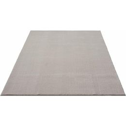 the carpet Teppich, waschbar und Anti-Rutsch, Uni-Farben, Sand, 120 cm, Rund