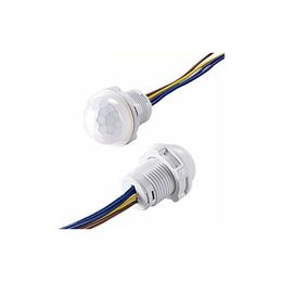 Warme Auto-Deckenleuchte für LED-Streifen Infrarot-Bewegungssensor Pir Infrarot-Bewegungssensor-Schalter 110v220v Smart Switch - Minkurow