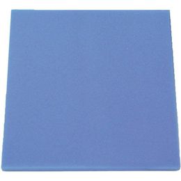 JBL - Filterschaum blau grob - 50 x 50 x 2,5 cm