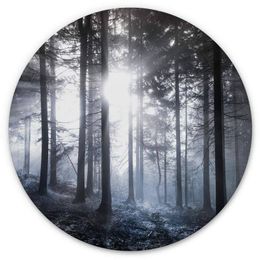 K&L WALL ART Alu-Dibond-Poster Rund Metalloptik Wandbild Sonnenstrahlen Wald Blau Vintage Natur Deko ø 70cm - blau