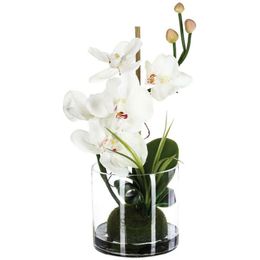 Atmosphera Künstliche Orchideen Komposition Glasvase H37cm - Weiß - Weiß