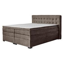 Boxspringbett Madeira in Braun ca. 160x200cm