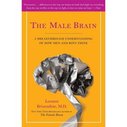 The Male Brain - Louann Brizendine, Taschenbuch