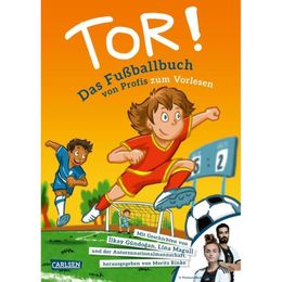 Tor! - Moritz Rinke, Nils Straatmann, Jochen Schmidt, Klaus Döring, Jan Böttcher, Klaus Cäsar Zehrer, Matthias Sachau, Andreas Merkel, Mathias Schönsee, Michael Kröchert, Florian Werner, Hannes Köhler, Lina Magull, Ilkay Gündogan, Die Autorennationalmannschaft, Gebunden