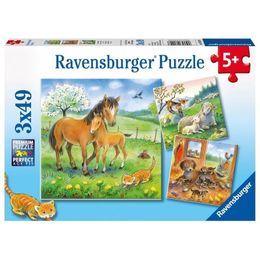 RAVENSBURGER VERLAG Ravensburger Kinderpuzzle - 08029 Kuschelzeit - Puzzle für Kinder ab 5 Jahren, mit 3x49 Teilen