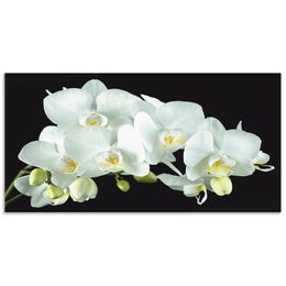Küchenrückwand Artland "Weiße Orchidee auf schwarzem Hintergrund" Spritzschutzwände Gr. B/H: 130 cm x 65 cm, weiß Küchendekoration