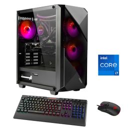 Hyrican Gaming-PC "Striker 7139" Computer Gr. Microsoft Windows 11 Home (64 Bit), 16 GB RAM 1000 GB SSD, schwarz Gaming PCs