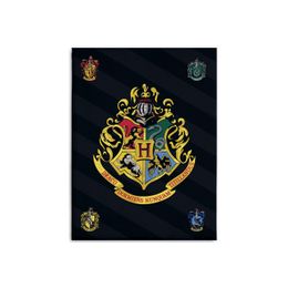 Kinderdecke Harry Potter Hogwarts 150 x 200 weich und kuschelig Coral Fleecedecke