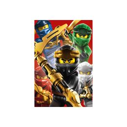 Kinderdecke Lego Ninjago Fighting 120 x 150 weich und kuschelig Coral Fleecedecke