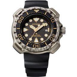 Taucheruhr Citizen "Promaster Diver, BN0220-16E" Armbanduhren schwarz Taucheruhren