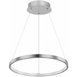 etc-shop - Pendelleuchte Ring silber Hängeleuchte rund led Lampen Wohnzimmer hängend Modern, aus Metall in nickel-matt opal, 1x led 19W 900Lm