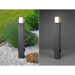 Trio Led Wegeleuchte mit 2 Steckdosen ebro in Anthrazit, Höhe 80cm, IP54