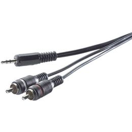 SpeaKa Professional - SP-7869916 Cinch / Klinke Audio Anschlusskabel [2x Cinch-Stecker - 1x Klinkenste