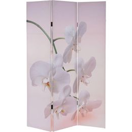 HHG Foto-Paravent Bagheria, Paravent Raumteiler Spanische Wand 180x120cm MVG-zertifiziert Orchidee - multicolour