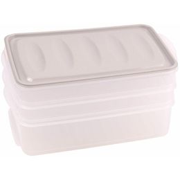 JELENIA PLAST - buri Aufschnittdosen-Set Aufschnittbox Frischhaltedose Kühlschrankdose Vorratsdose, Farbe:hellgrau