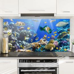 MICASIA Spritzschutz Glas - Underwater Reef - Quer 1:2 Größe HxB: 59cm x 120cm