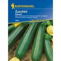 Zucchini Diamant - Gemüsesamen - Kiepenkerl