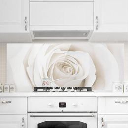 MICASIA Spritzschutz Glas - Pretty White Rose - Panorama Quer Größe HxB: 40cm x 100cm