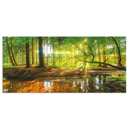 Küchenrückwand Artland "Wald mit Bach" Spritzschutzwände Gr. B/H: 110 cm x 50 cm, grün Küchendekoration