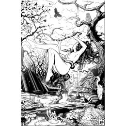Acrylglasbild Wall-Art "Drawstore Swampland" Bilder Gr. B/H: 40 cm x 60 cm, schwarz-weiß (schwarz weiß) Acrylglasbilder