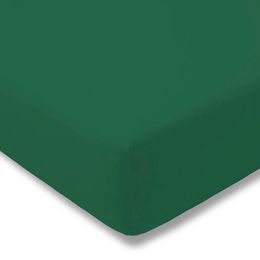 Spannbettlaken Estella "Zwirn-Jersey 6900 aus Baumwolle mit Elasthan, Matratzenhöhe bis 35 cm" Laken Gr. B/L: 200 cm x 200 cm 1 St., Jersey-Elasthan, 40 cm, 200 x 200 cm-180 x 200 cm, grün (grasgrün) Spannbettlaken