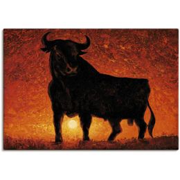 Leinwandbild Artland "Andalusischer Stier" Bilder Gr. B/H: 100 cm x 70 cm, Wildtiere, 1 St., rot Leinwandbilder