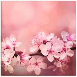 Wandbild Artland "Kirschblüten" Bilder Gr. B/H: 100 cm x 100 cm, Leinwandbild Blumen quadratisch, 1 St., pink Kunstdrucke