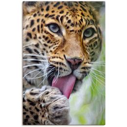 Wandbild Artland "Leopard" Bilder Gr. B/H: 60 cm x 90 cm, Leinwandbild Wildtiere, 1 St., bunt Kunstdrucke