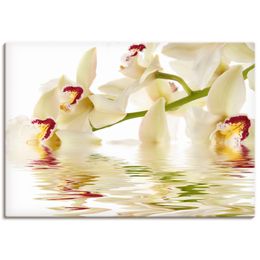 Wandbild Artland "Weiße Orchidee mit Wasserreflektion" Bilder Gr. B/H: 100 cm x 70 cm, Leinwandbild Blumen Querformat, 1 St., weiß Kunstdrucke