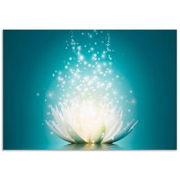 Küchenrückwand Artland "Magie der Lotus-Blume" Spritzschutzwände Gr. B/H: 80 cm x 55 cm, blau Küchendekoration