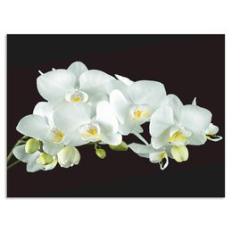 Küchenrückwand Artland "Weiße Orchidee auf schwarzem Hintergrund" Spritzschutzwände Gr. B/H: 80 cm x 60 cm, weiß Küchendekoration