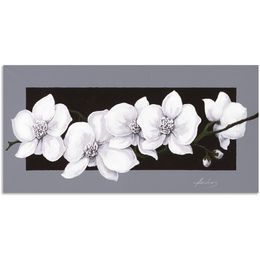 Wandbild Artland "Weiße Orchideen auf grau" Bilder Gr. B/H: 150 cm x 75 cm, Alu-Dibond-Druck Blumen, 1 St., schwarz Kunstdrucke