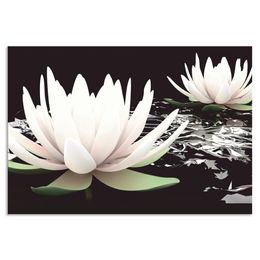 Küchenrückwand Artland "Zwei Lotusblumen auf dem Wasser" Spritzschutzwände Gr. B/H: 80 cm x 55 cm, schwarz Küchendekoration
