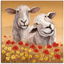 Wandbild Artland "Schafe" Bilder Gr. B/H: 100 cm x 100 cm, Leinwandbild Haustiere, 1 St., beige (naturfarben) Kunstdrucke