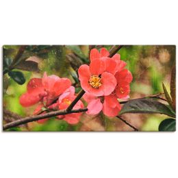 Leinwandbild Artland "Quittenblüte" Bilder Gr. B/H: 100 cm x 50 cm, Blumen, 1 St., pink Leinwandbilder