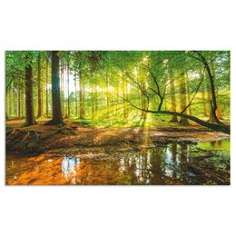 Küchenrückwand Artland "Wald mit Bach" Spritzschutzwände Gr. B/H: 100 cm x 60 cm, grün Küchendekoration