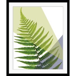 Bild queence Bilder Gr. B/H: 50 cm x 70 cm, Wandbild Blätter Hochformat, bunt (grün, lila) Kunstdrucke