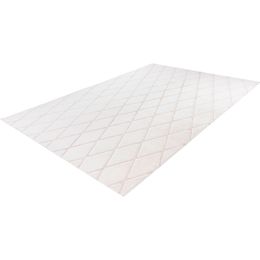 Teppich Calo-deluxe "Jardan-2000" Teppiche Gr. B/L: 160 cm x 230 cm, 20 mm, 1 St., beige (creme, weiß) Esszimmerteppiche