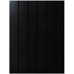 Phaesun Solarmodul "Sun Pearl 150_12" Solarmodule schwarz Solartechnik