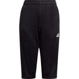 adidas Sportswear 3/4-Hose TIRO21 3/4 PNTY