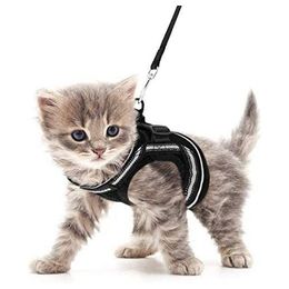 Lubgitsr Katzen-Halsband Katzengeschirr mit Leine Ausbruchsicher