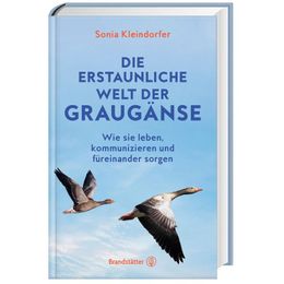 Die erstaunliche Welt der Graugänse - Sonia Kleindorfer, Gebunden